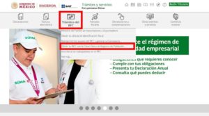 Tramitar RFC con CURP (2024) Paso a paso, requisitos y MAS